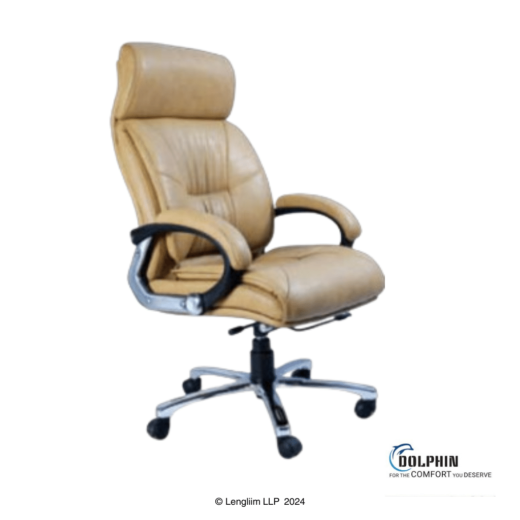 Dolphin DF 15 High Back Leatherite Office Chair - Lengliim